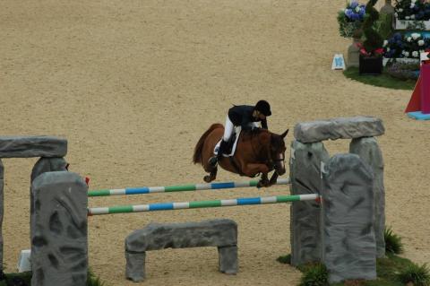 London 2012 Individual Showjumping Final | An Eventful Life