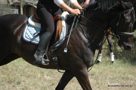 Sonja Johnson on rider position and balance | An Eventful Life